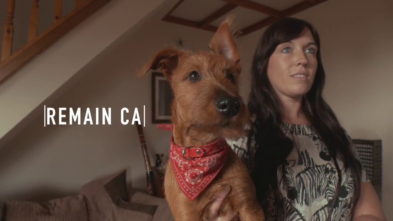 Fireworks Tips for your Pet and How to Build a Firework Den - YouTube