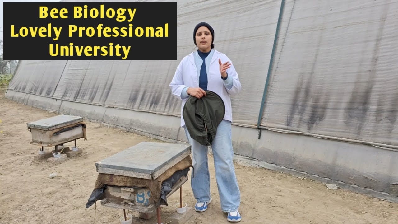 Bee Species & Bee Biology || Bee Keeping || School of Agriculture ...