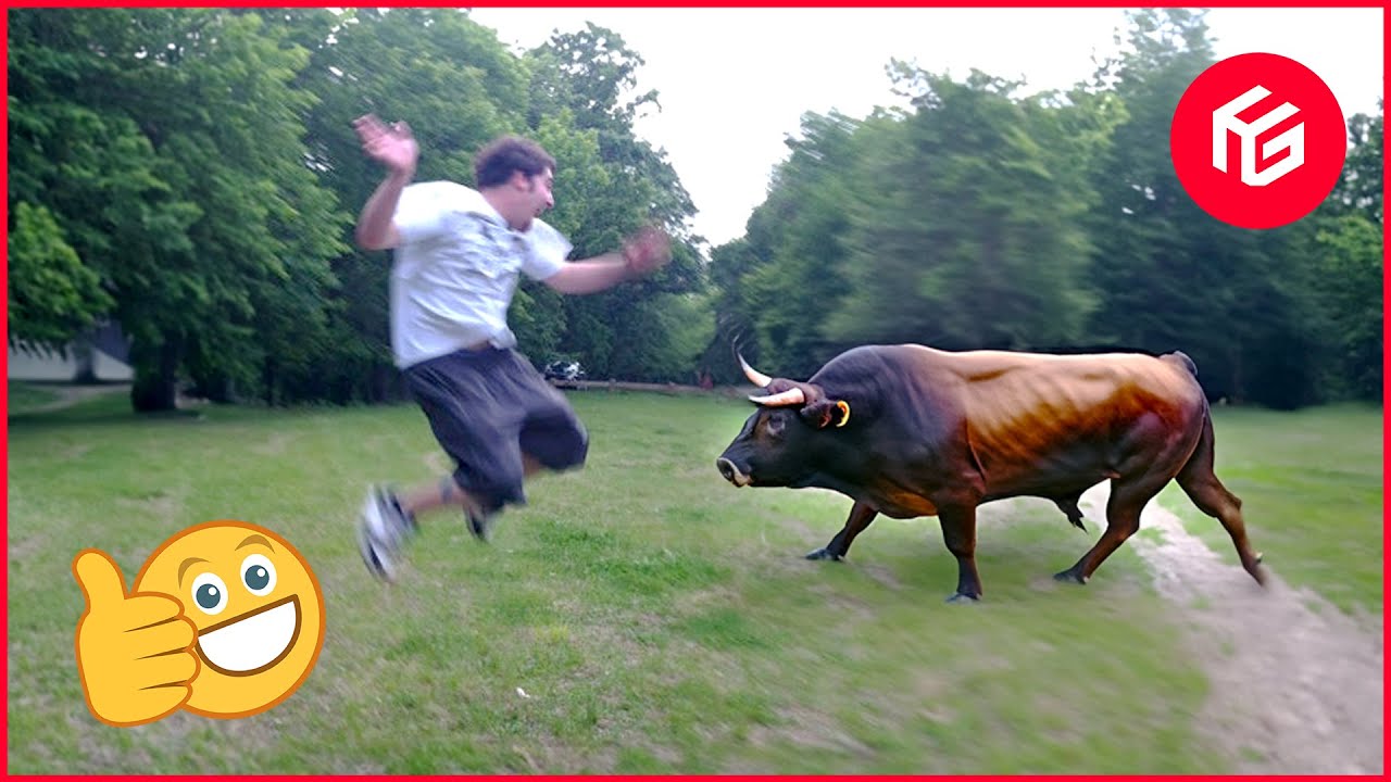 Funny & Unexpected Life Fails #281 - TRY NOT TO LAUGH Challenge - YouTube