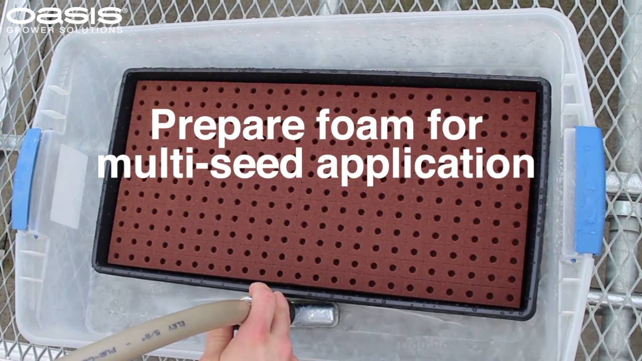 OASIS® Grower Solutions Seeding Techniques - YouTube