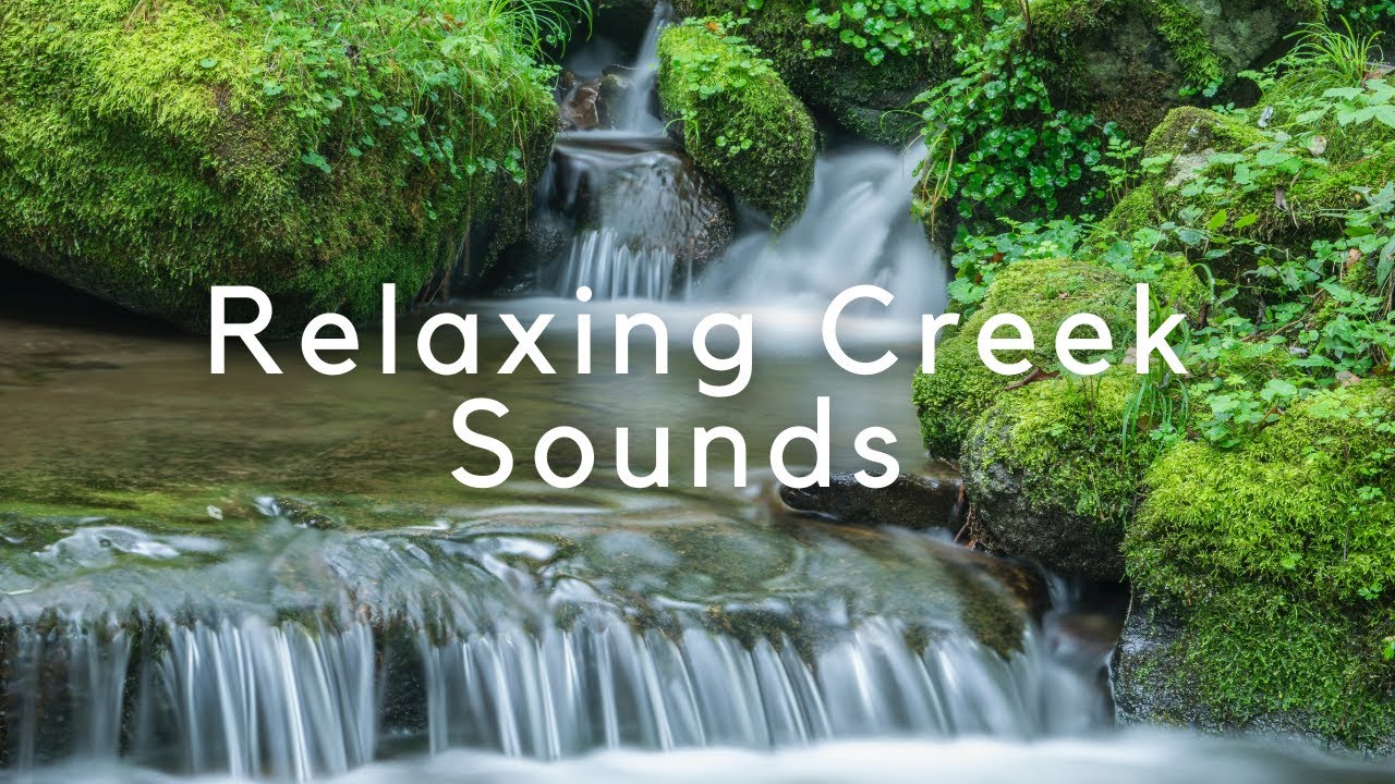 Relaxing Creek Running Water Sounds - 8 Hours of Relaxing Nature Sounds ...