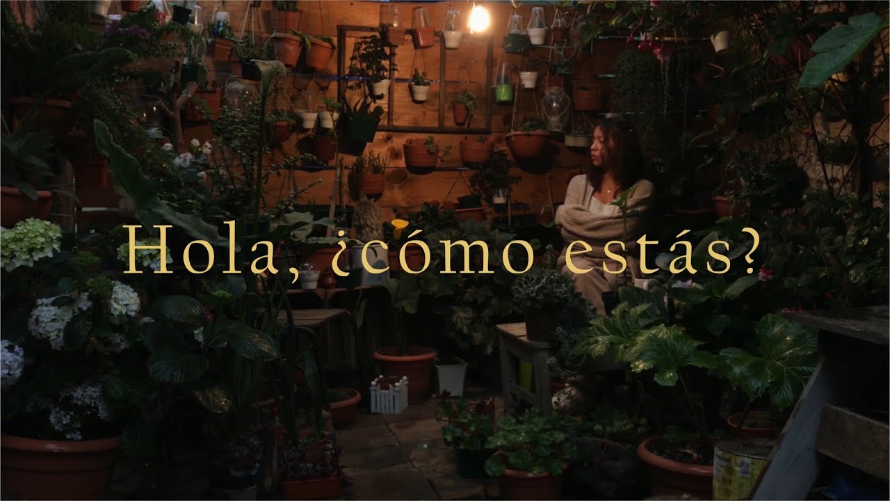 Hola, ¿como estás? - Ed Maverick (cover) - YouTube