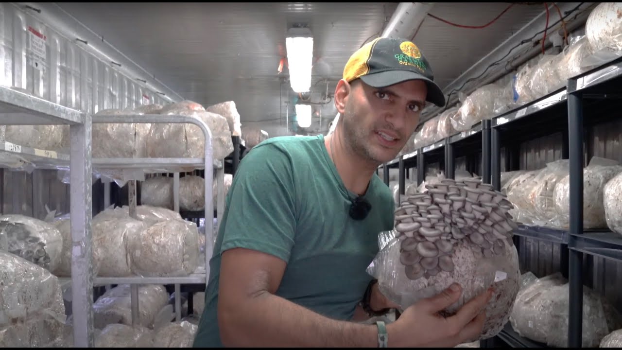 Virtual Field Trip: Gratitude Garden Farm with Joseph Chammas - YouTube