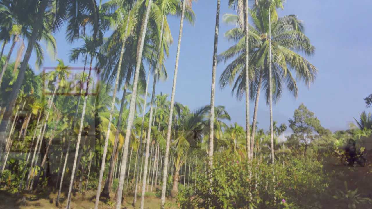 DDSP Project and Local Villagers' Desire (Eng) - YouTube