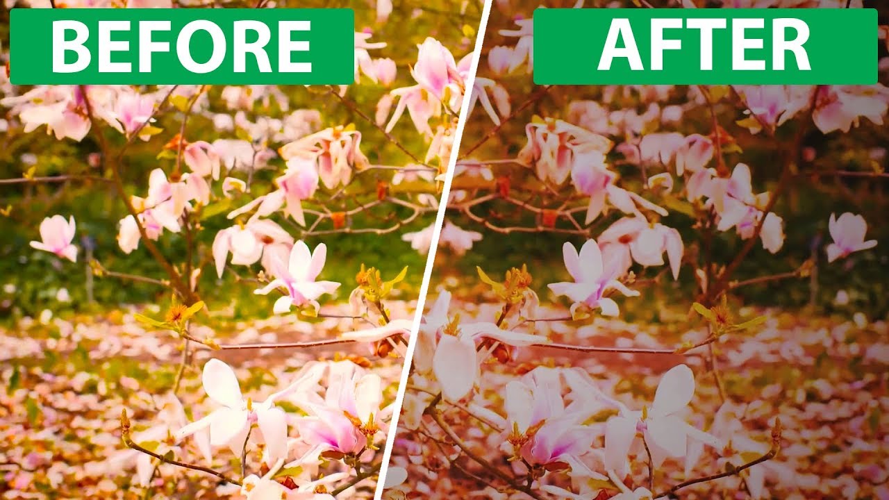 Color Correction- Create a Cinematic Look with After Effects Tricks ...