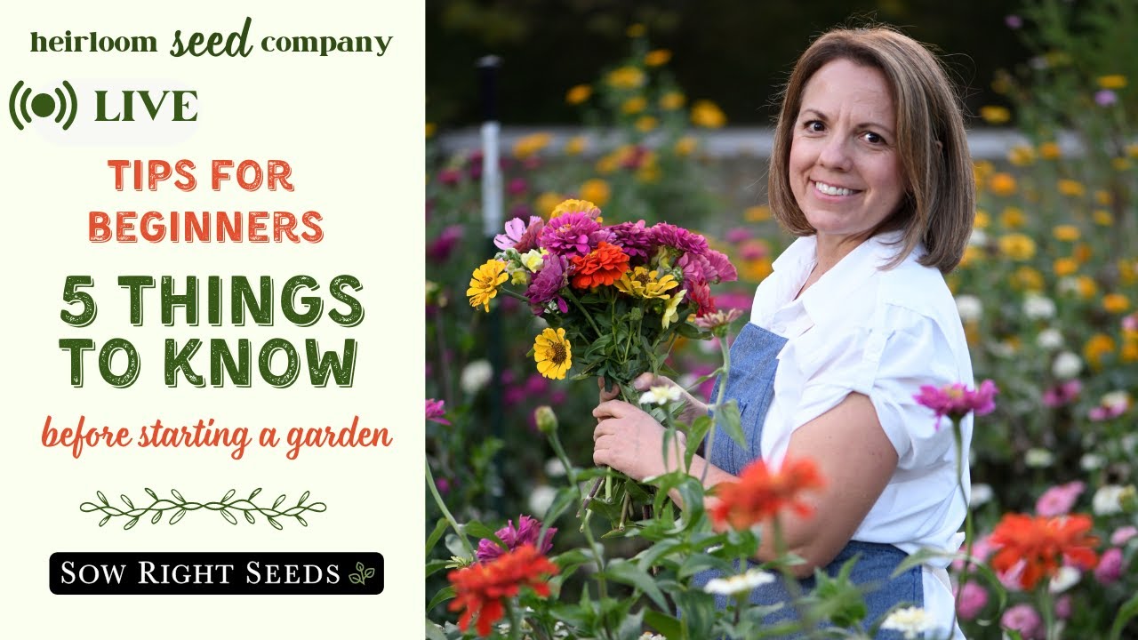 Sow Right Seeds | Beginner Gardening - 5 Things To Know - YouTube