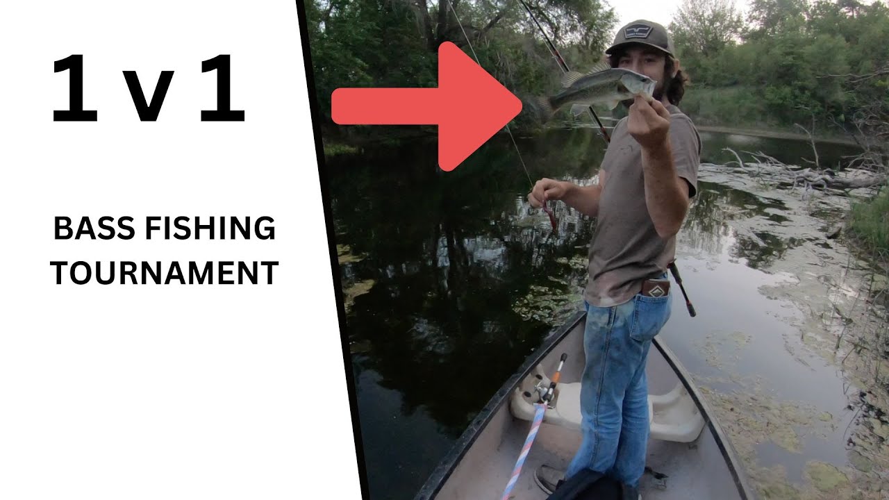 This Pond has the Smallest Bass in the World!! - YouTube