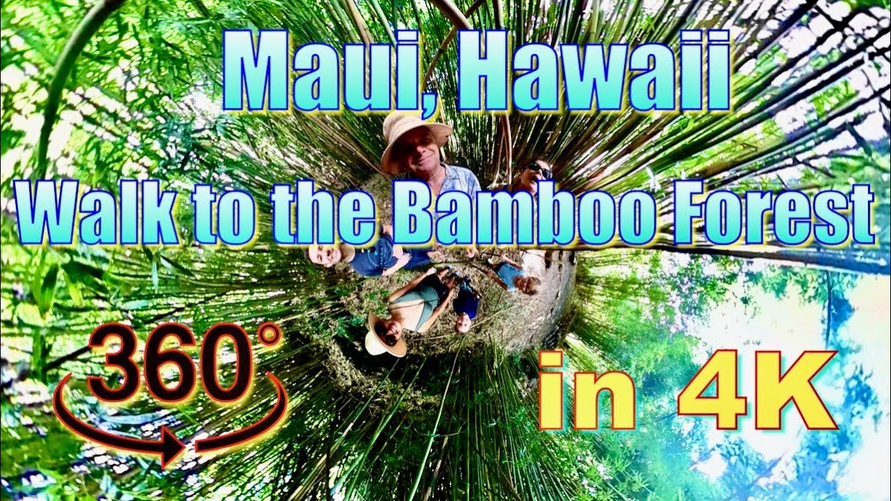 360° Maui, Hawaii - Walking in the Bamboo Forest in Haleakalā National ...