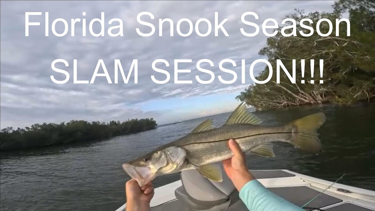 Florida Snook Season - Indian River / Mosquito Lagoon - SLAM SESSION ...