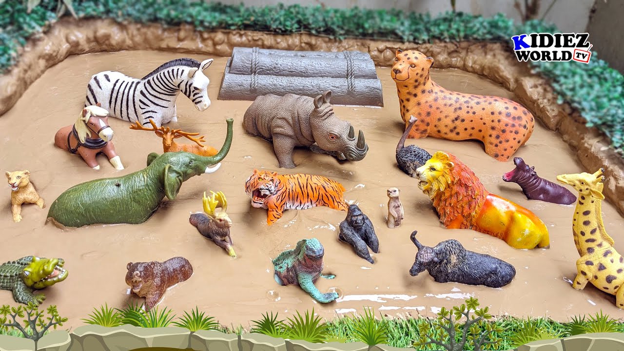 African Wild Animals Jungle African Jungle Animals Like You've NEVER