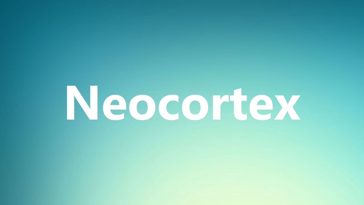 Neocortex - Medical Definition and Pronunciation - YouTube