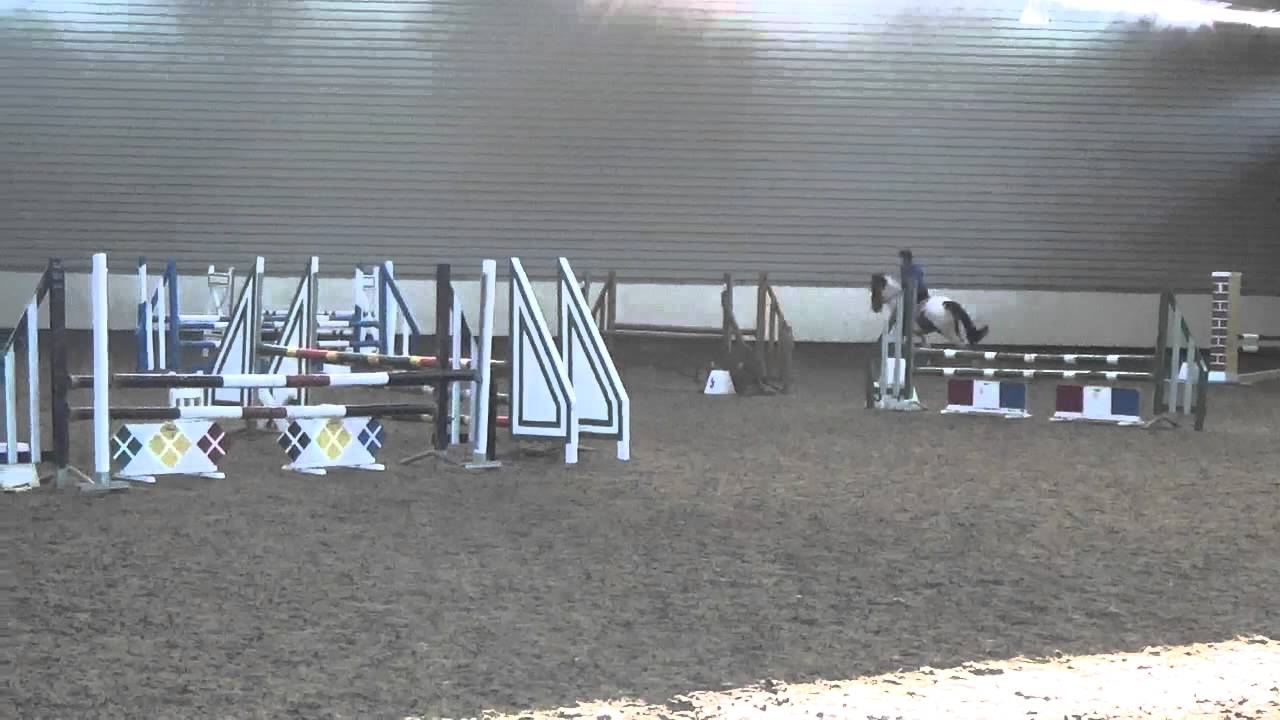 Murphy showjumping course - YouTube