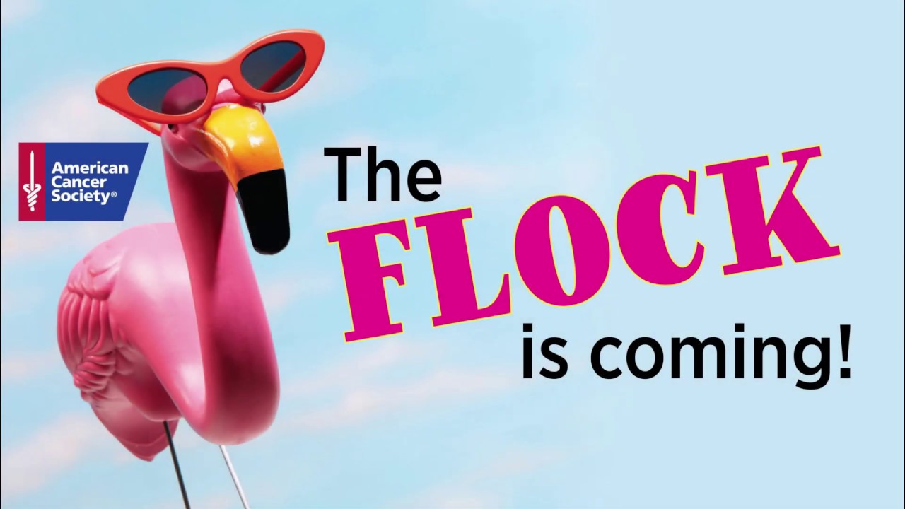 Flock a Friend for ACS - YouTube