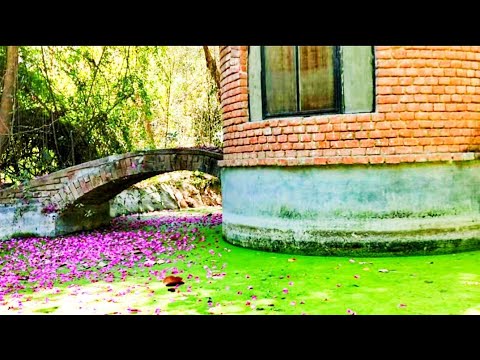 Tarumitra ( friends of trees ) - YouTube