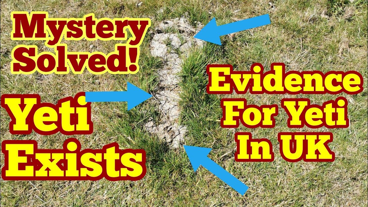 Mystery Solved: Evidence For Yeti In UK - YouTube
