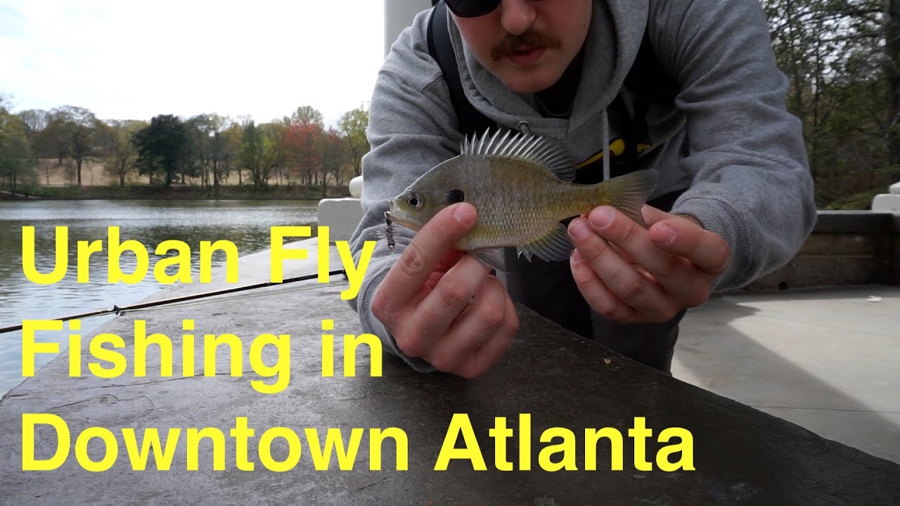 Urban Fly Fishing in Downtown Atlanta Using Public Transportation - YouTube