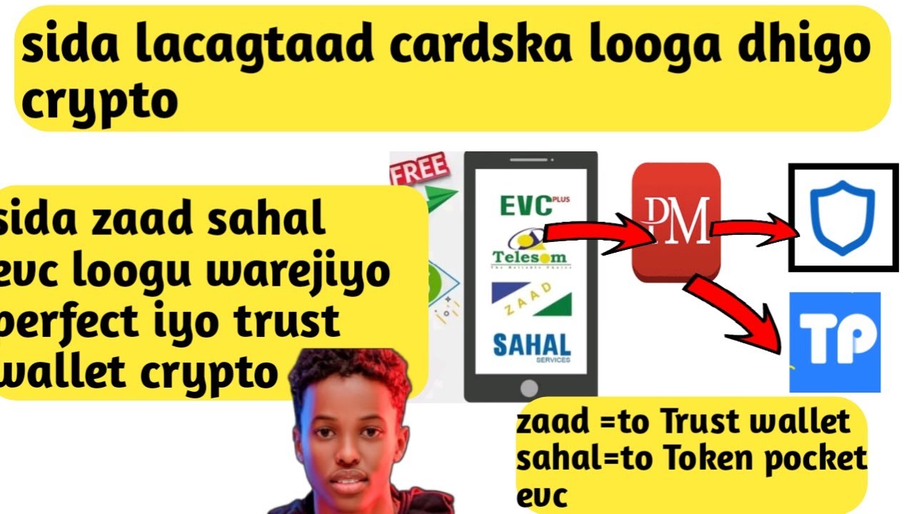 Sida perfect iyo cryptocurrency lacag loo dhigto (trust wallet USD TRX ...