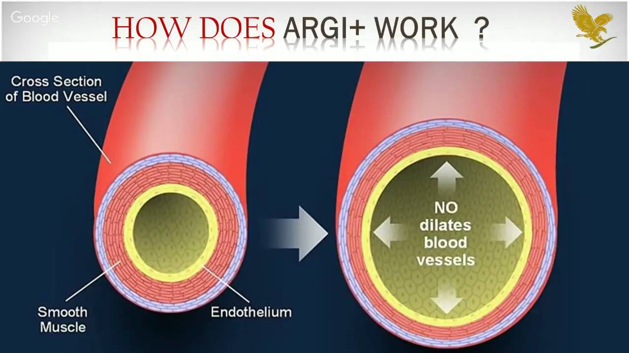Learn how to take ARGI+ and why | Forever Living - YouTube