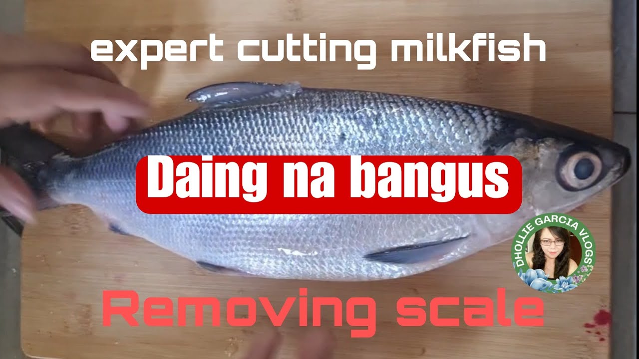 LET'S CUT DAING NA BANGUS #asmr #satisfying #trend #viral #live - YouTube