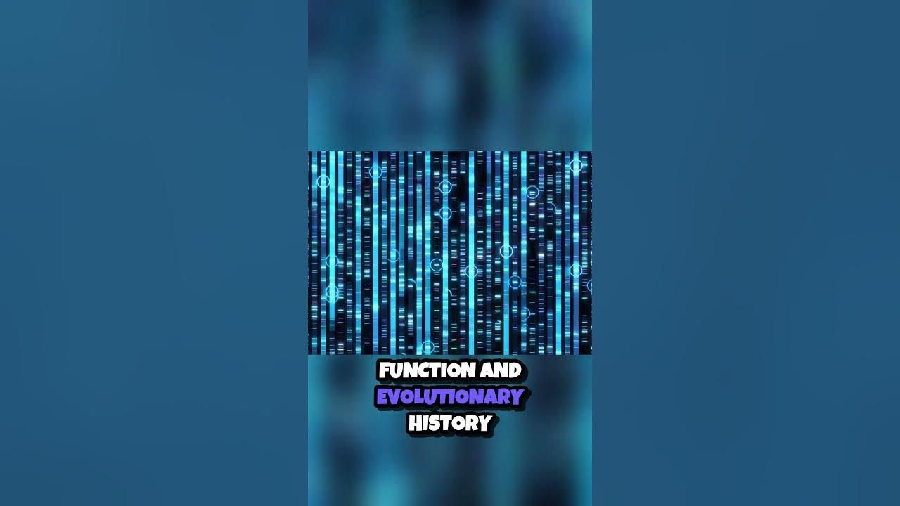 Unlocking DNA Secrets How Algorithms and Stats Power Bioinformatics 🔬 - YouTube