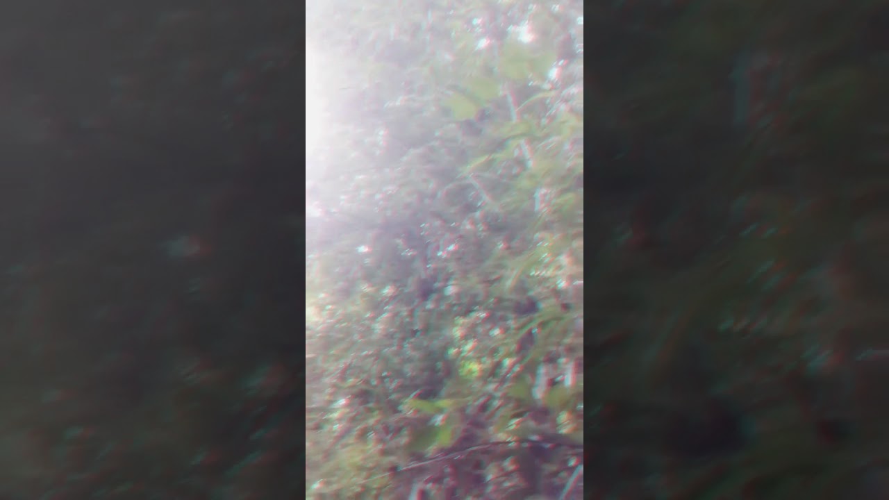 A place called Ubbog in Sitio Cabuloan, Sarrat! 😊 - YouTube