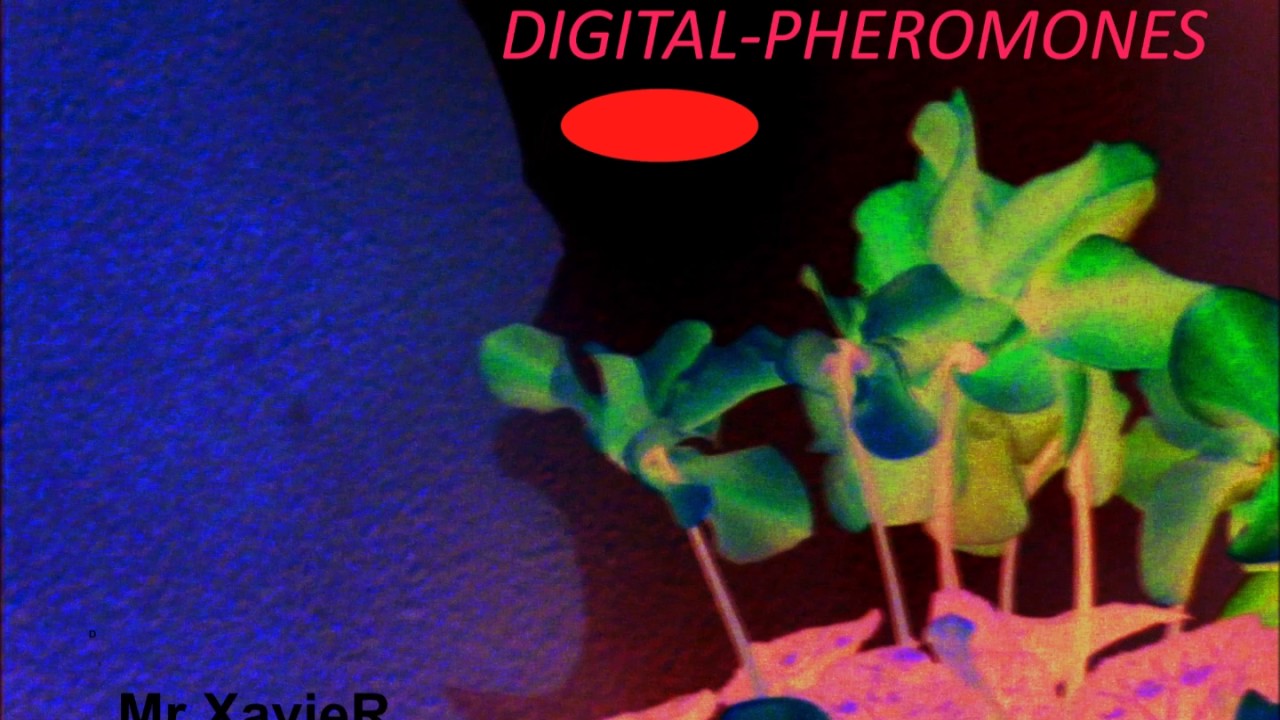 Digital Pheromones - Roland GAÏA SH-01 - YouTube