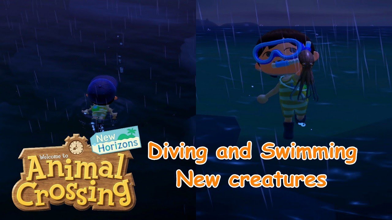 Summer update Swimming and Diving! What creatures can I catch? Animal ...