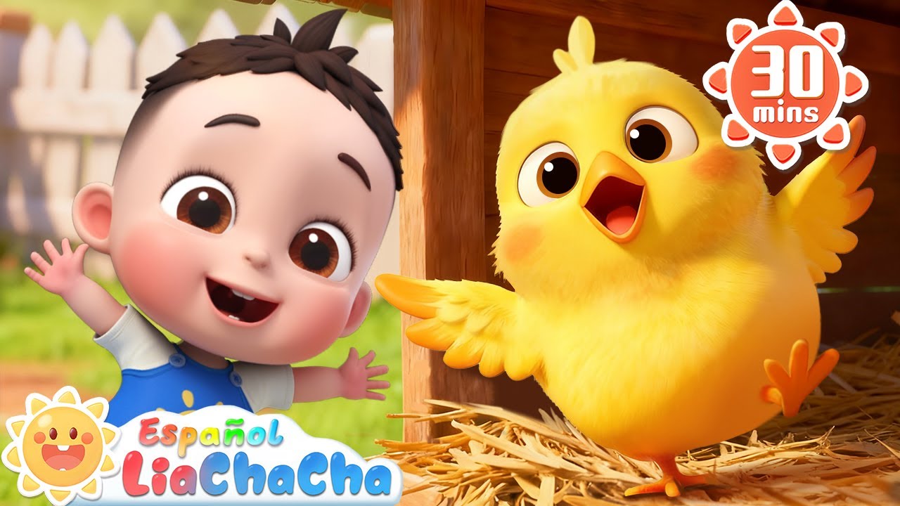 Mi Pollito Amarillito🐥 | Canción de la Granja | LiaChaCha en Español ...