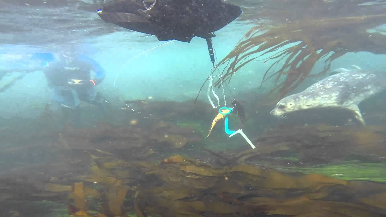 ab diving 5 17 14 - YouTube