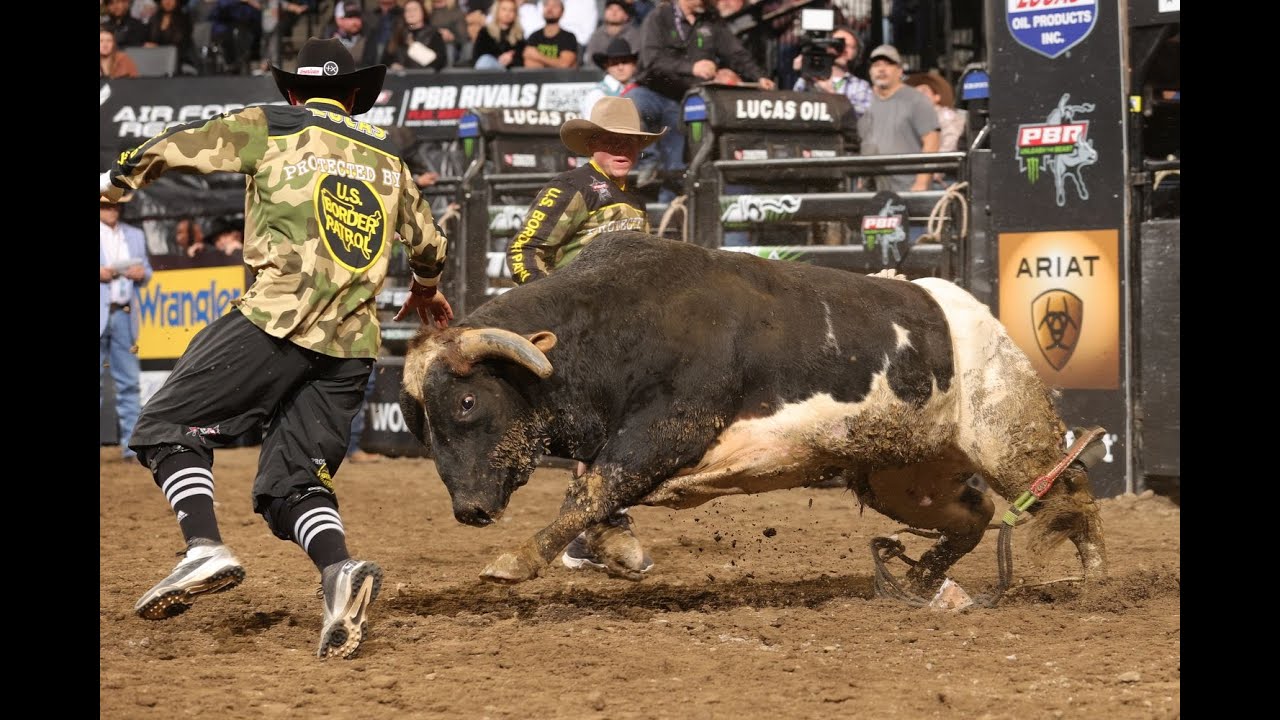 Run Cowboy! Run! Hell Bound Chases Bullfighters Post-Conner Halverson's ...