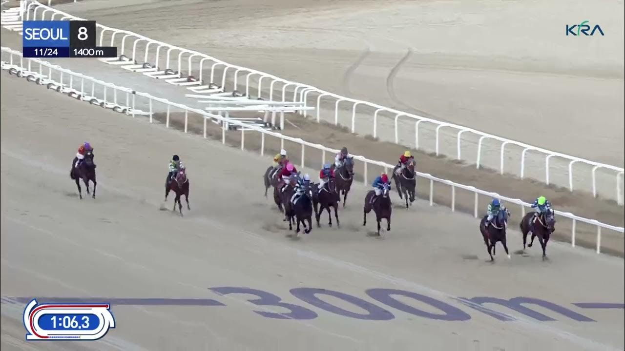 (Seoul) 2024.11.24 R8 Class 4 (1400M) Handicap - YouTube