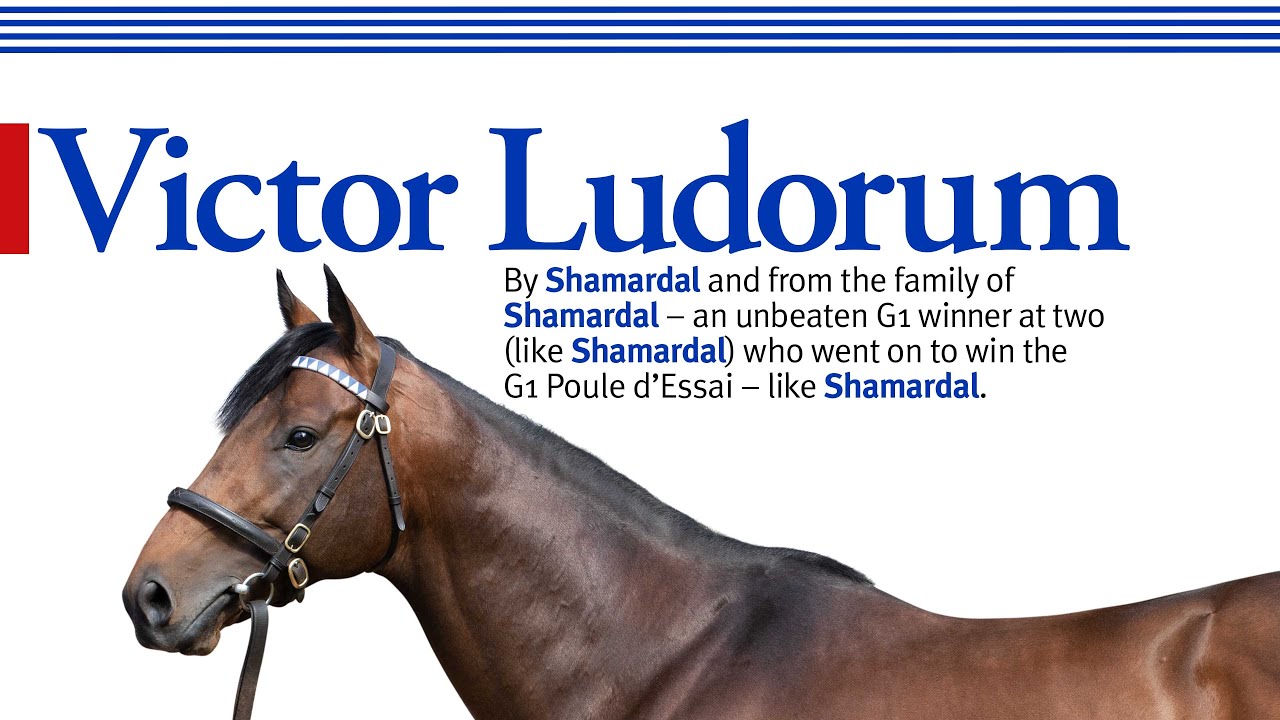 Victor Ludorum - by Shamardal and from the family of Shamardal - YouTube