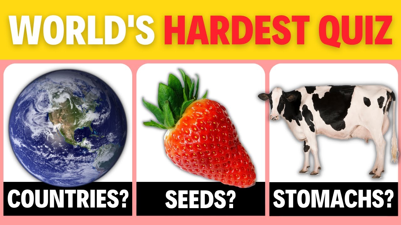 World s Hardest Quiz Only 0 0001 Pass YouTube world-s-hardest-quiz-only-0-0001-pass-youtube