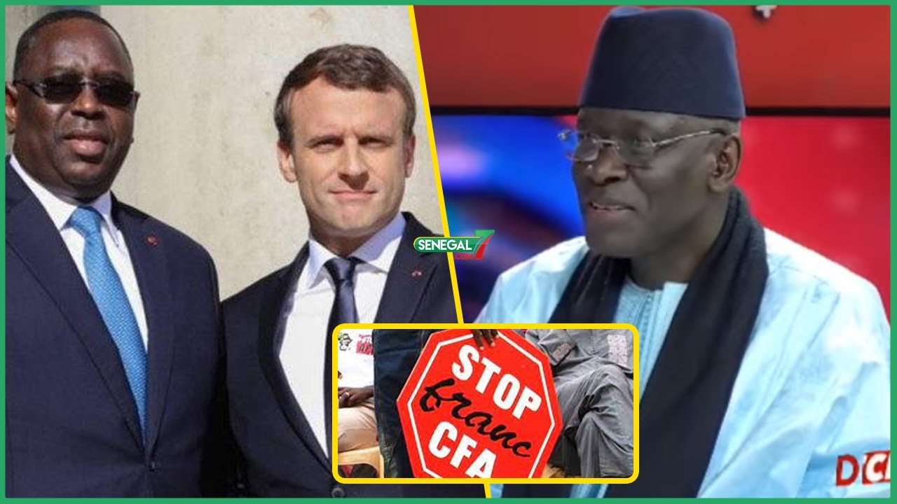Habib Sy: "L'Etat a préféré le secteur privé étranger au nationaux ...