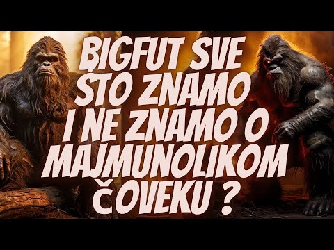Bigfut - sve što znamo i ne znamo o majmunolikom čoveku