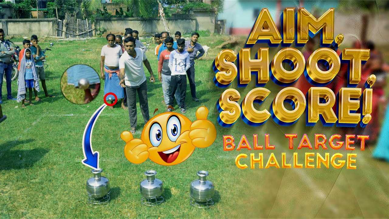 Aim, Shoot, Score! Ball Target Challenge || Put the Ball into the ...