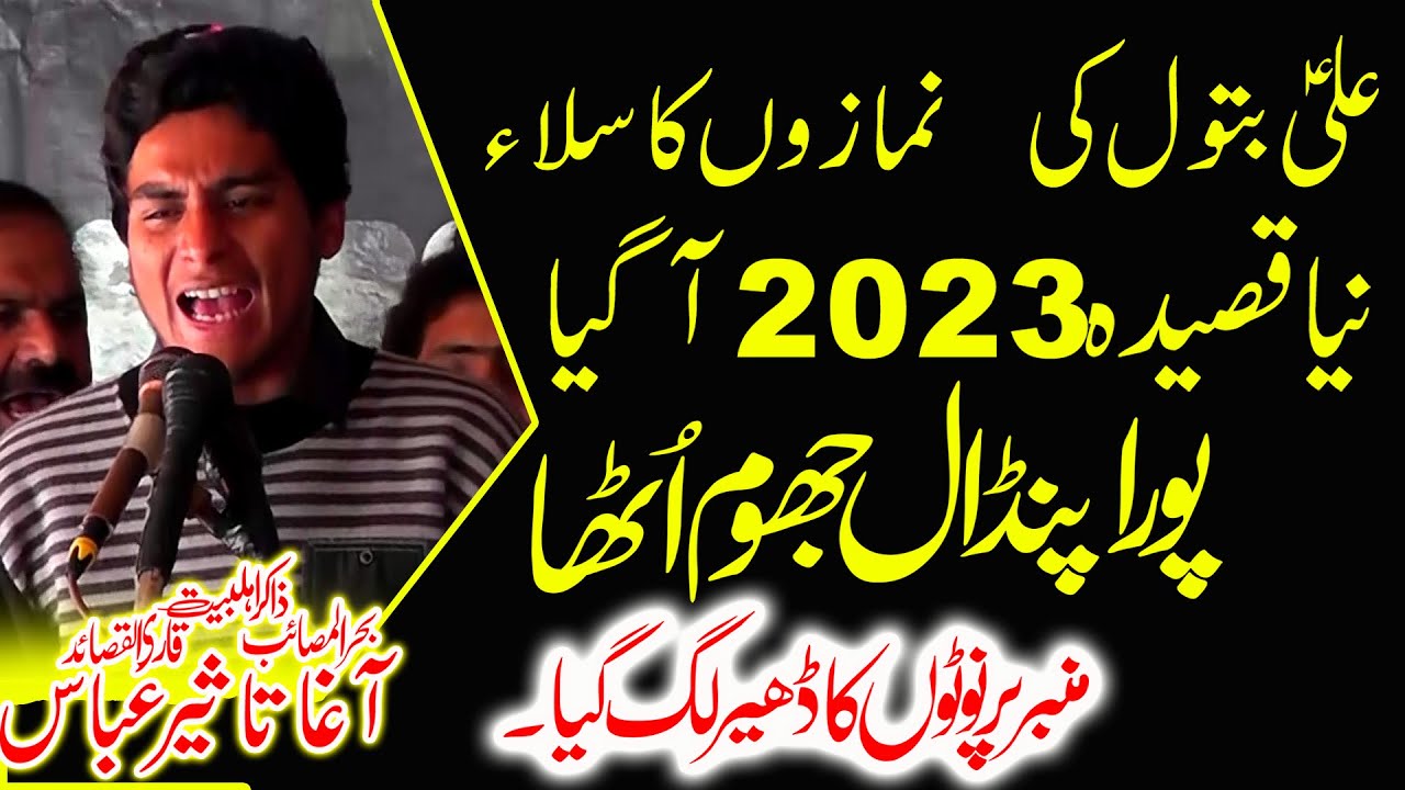 Zakir Agha Taseer Abbas New Qasidey Ali Batool Ki Yadgar Masaib 2023 - YouTube