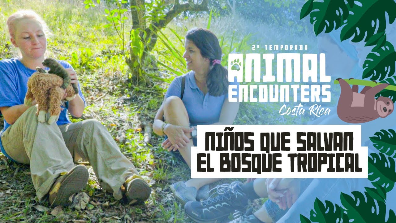 NIÑOS QUE SALVAN EL BOSQUE TROPICAL - ANIMAL ENCOUNTERS | COSTA RICA ...