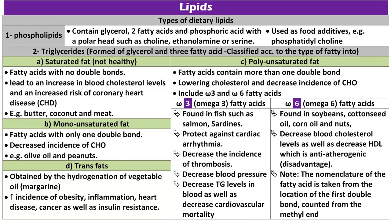 Lipids |Clinical Nutrition - YouTube