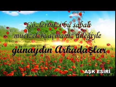GÜNAYDIN ARKADAŞLAR