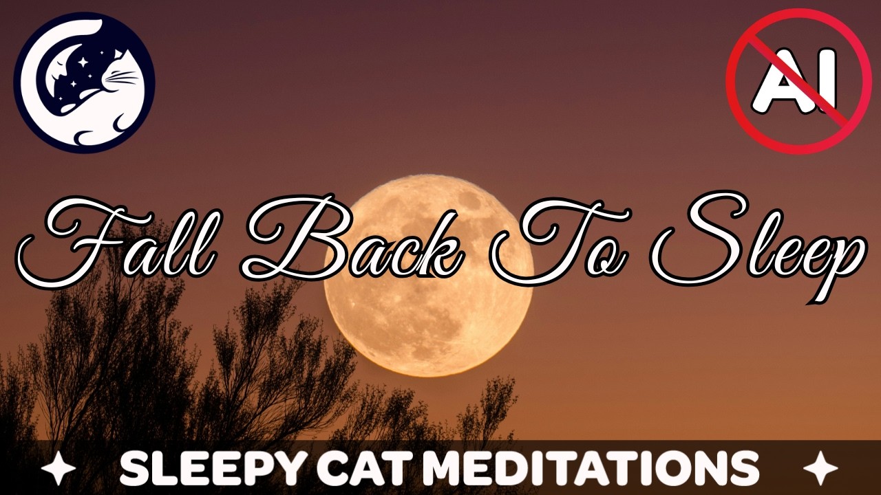 Fall Back To Sleep (Guided Meditation For Rest & Recovery) - YouTube
