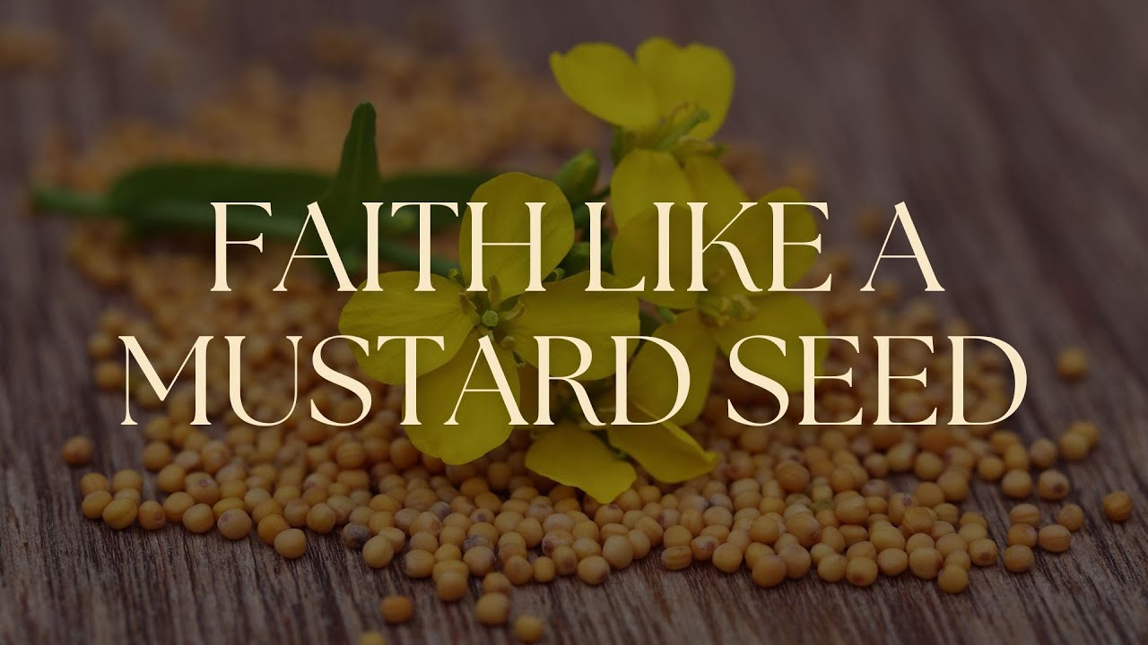 Faith Like a Mustard Seed, Wesley UMC, Sunday, 11/24/24, 8:30 AM - YouTube