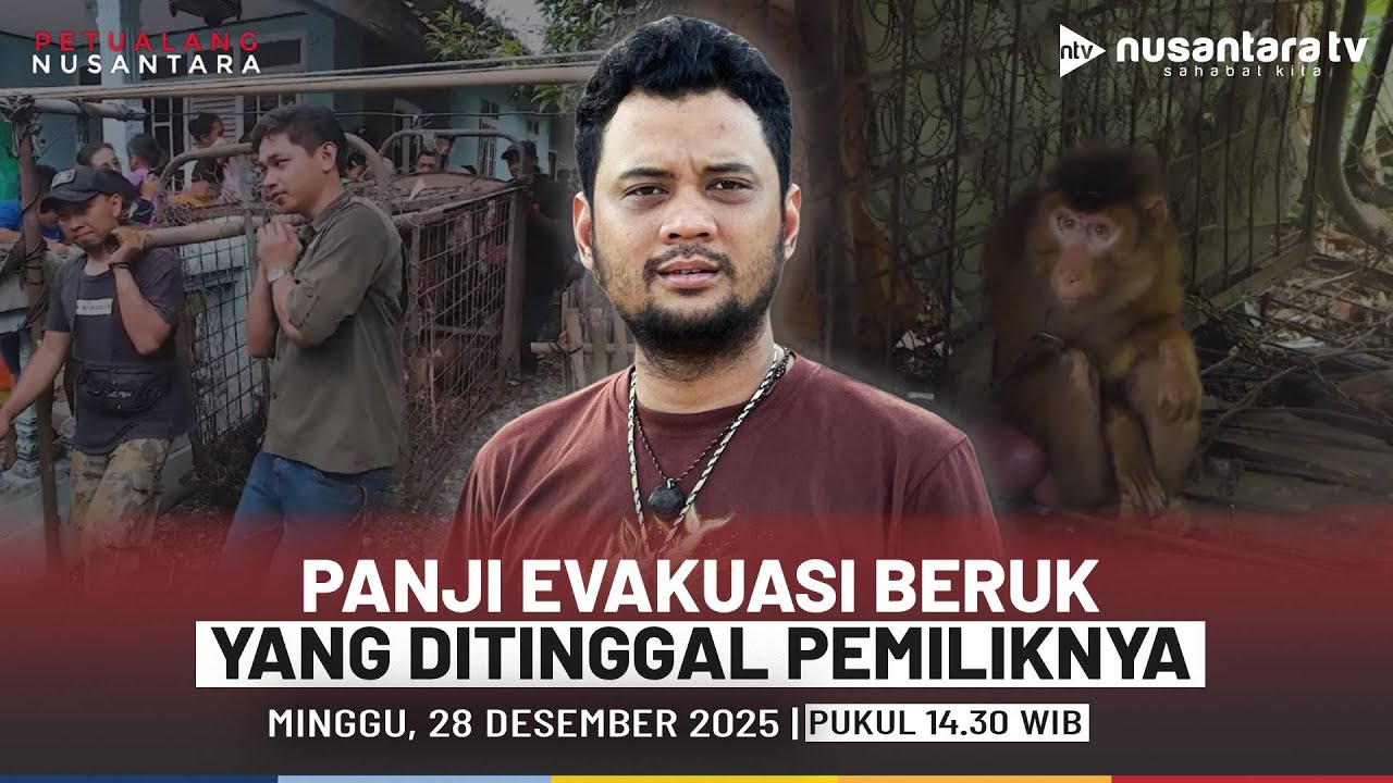 [LIVE] Panji Evakuasi Beruk yang Ditinggal Pemiliknya | PETUALANG ...