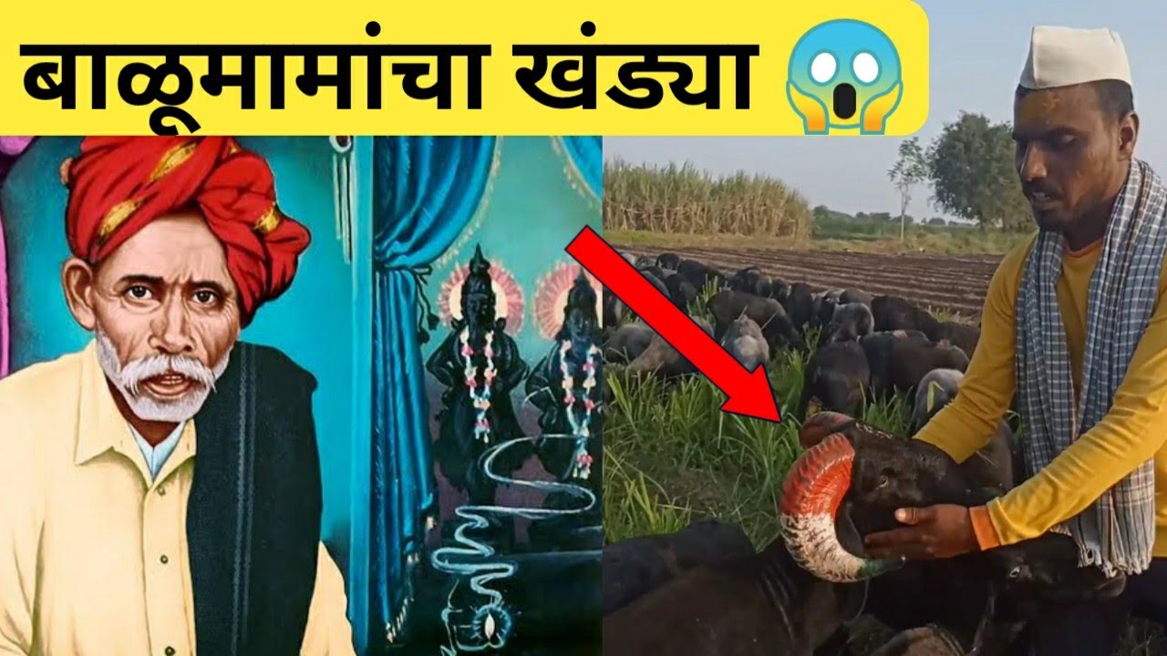 बाळूमामांचा खंड्या 😱 Shree balumama Admapur #khandya #balumama # ...