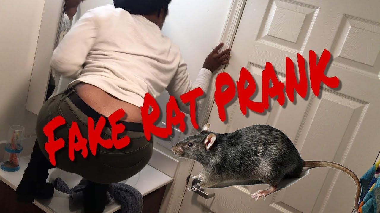 FAKE RAT PRANK ON MOM ! HILARIOUS 😂😂 - YouTube