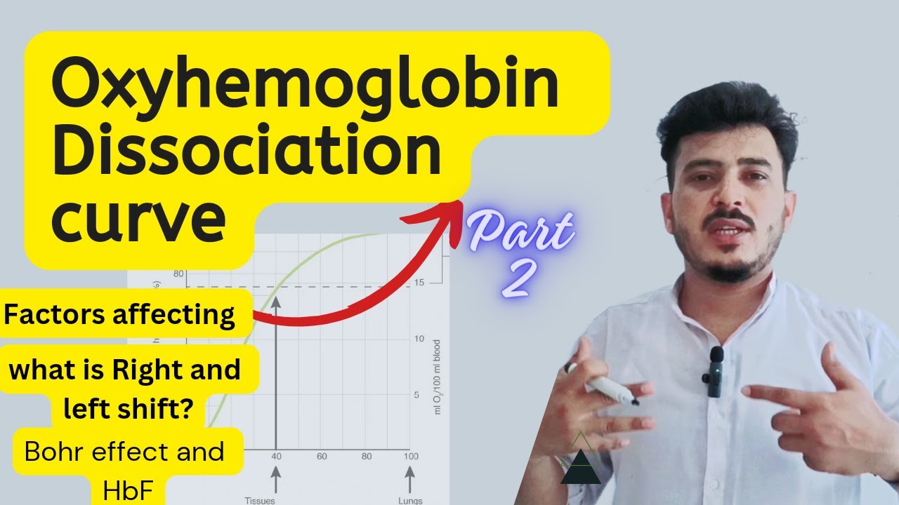 factors affect oxygen hemoglobin dissociation curve|right shift and ...