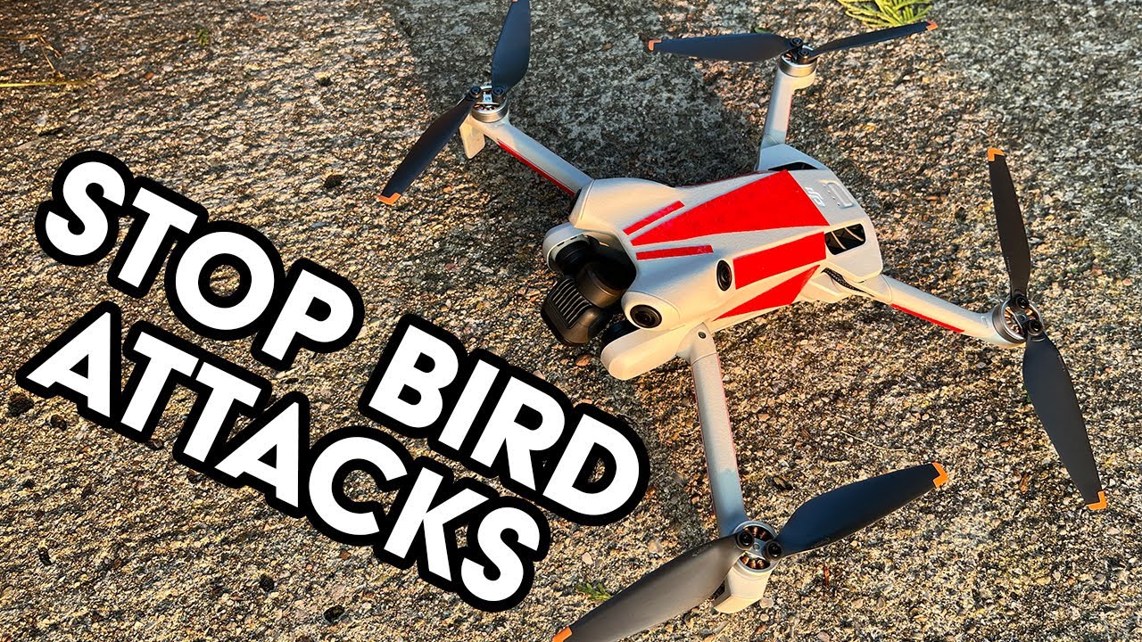 Stop Bird Attacks on your Drone - DJI Mini 4 Pro - YouTube