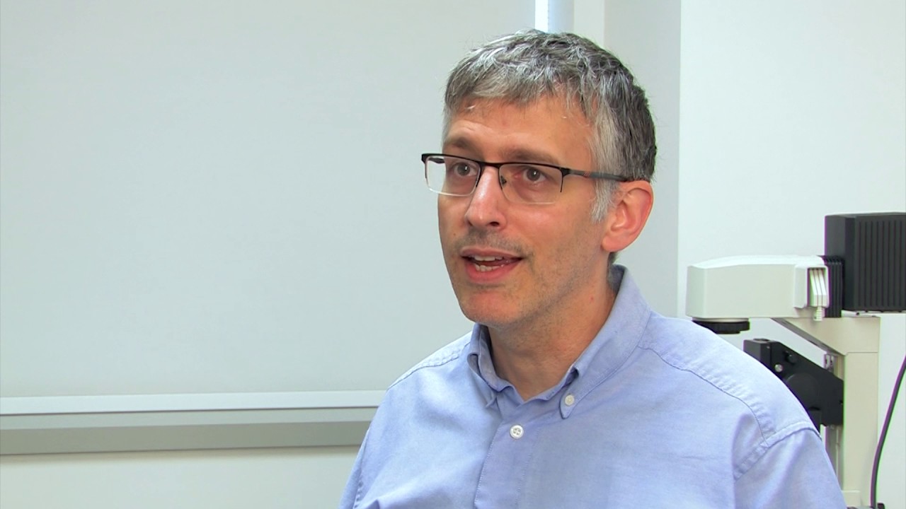Dr. Luc Martin - 2016 Researcher of the Month: Young Minds. New Finds ...