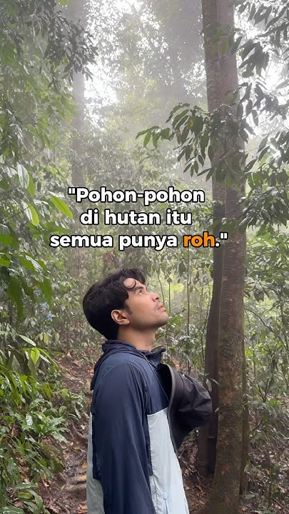 Pohon-pohon saling bicara. #hutan #masyarakatadat - YouTube