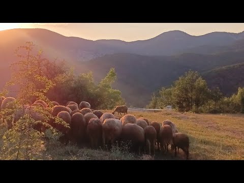 köyde 1 gece - ( bir gece ) farm  #köyde1gece, #farm, #köydegecevakti, #köydeengüzelgecee,